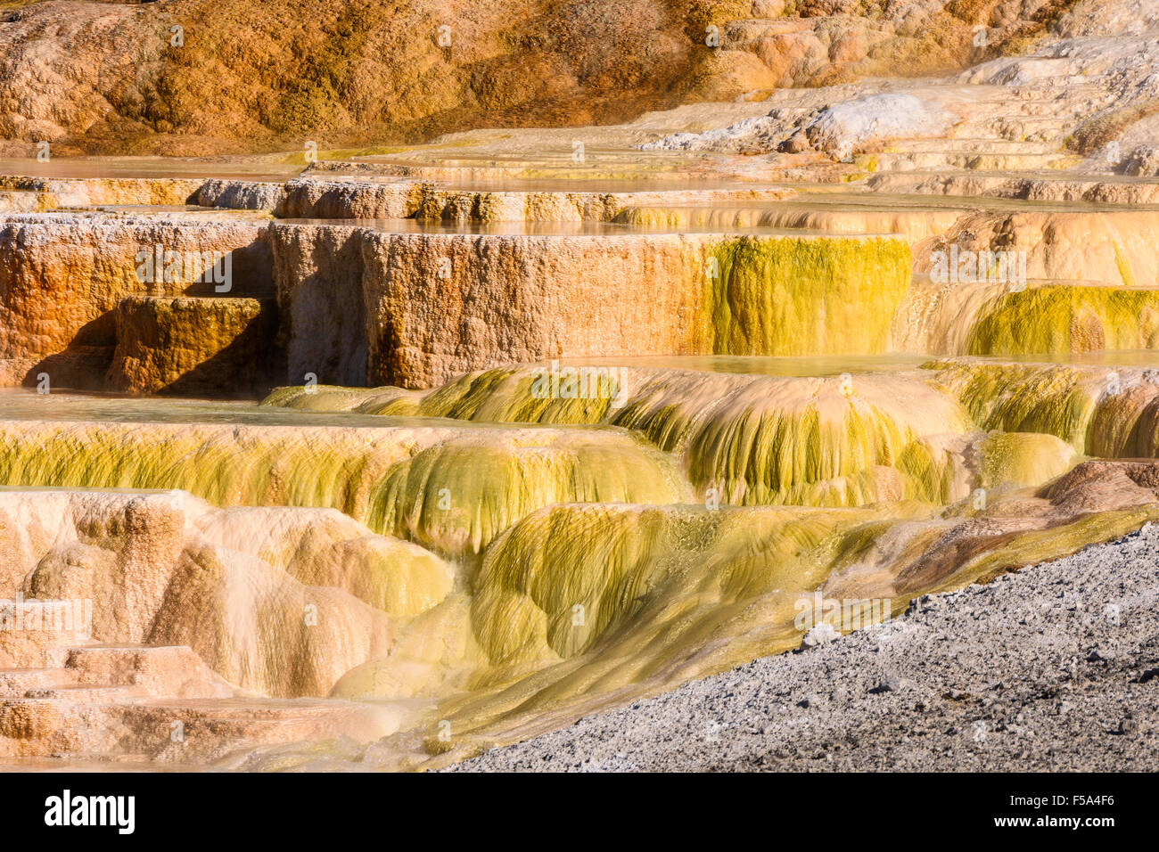 Travertine terraces at mammoth hot springs hi-res stock photography and ...