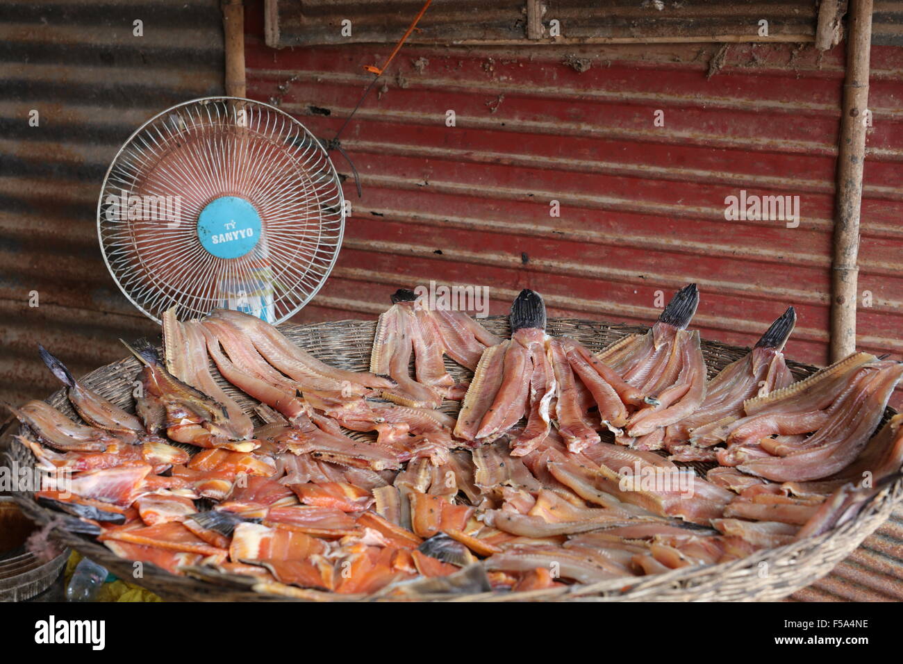 Fish flies hi-res stock photography and images - Alamy