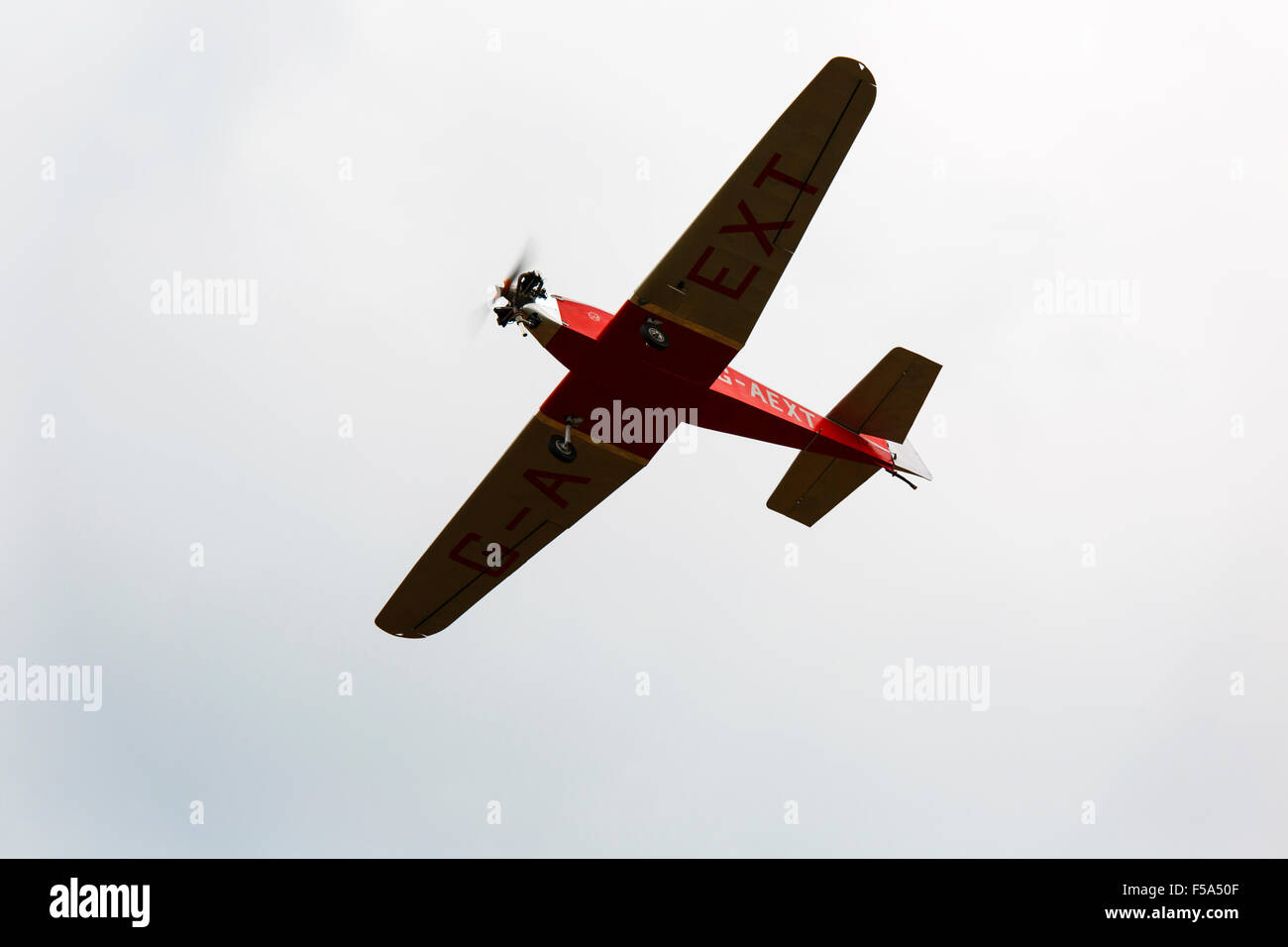 Dart kitten hi-res stock photography and images - Alamy