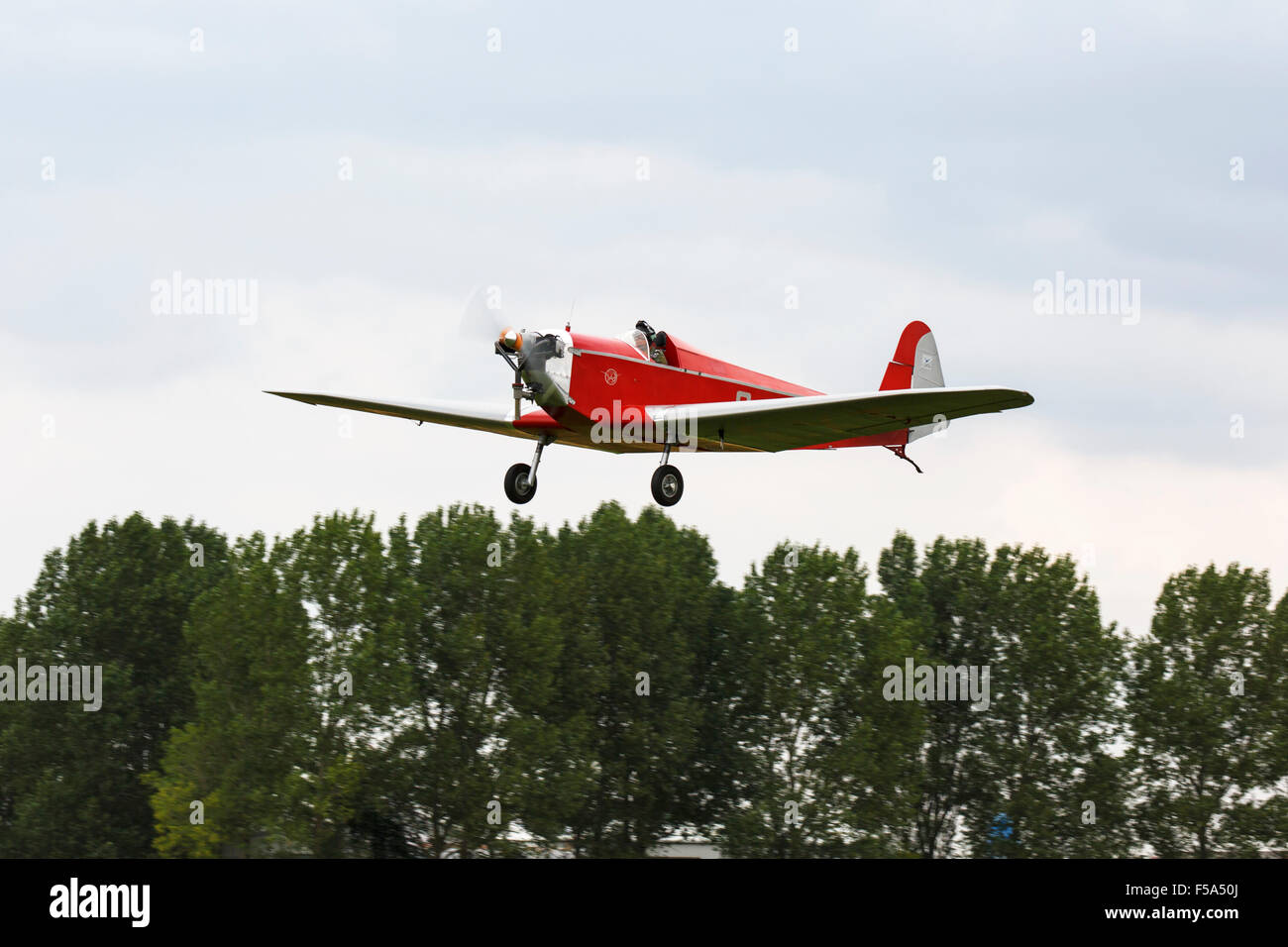 Dart kitten hi-res stock photography and images - Alamy