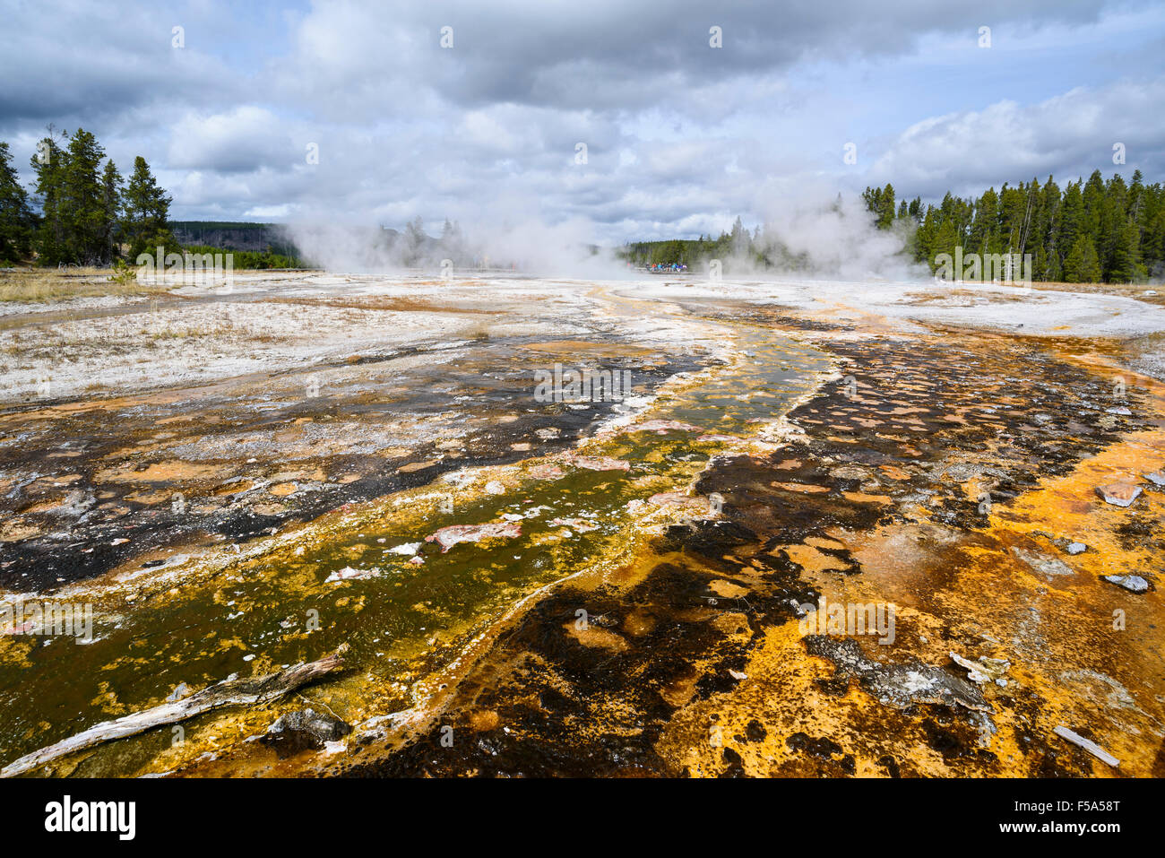 Yellowstone national park upper geyser basin hi-res stock photography ...