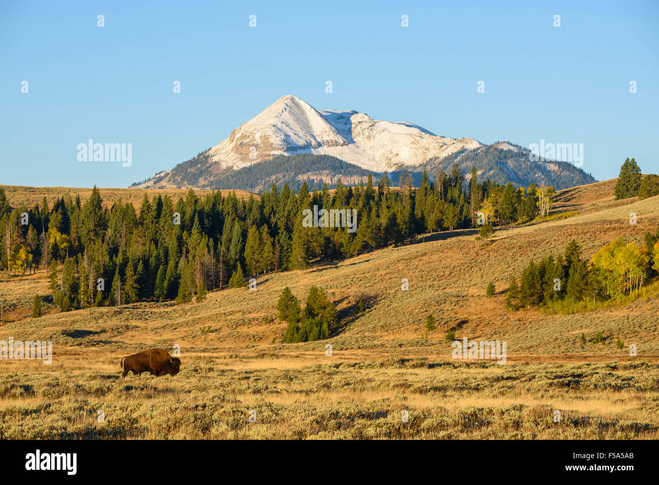 Gallatin range hi-res stock photography and images - Alamy