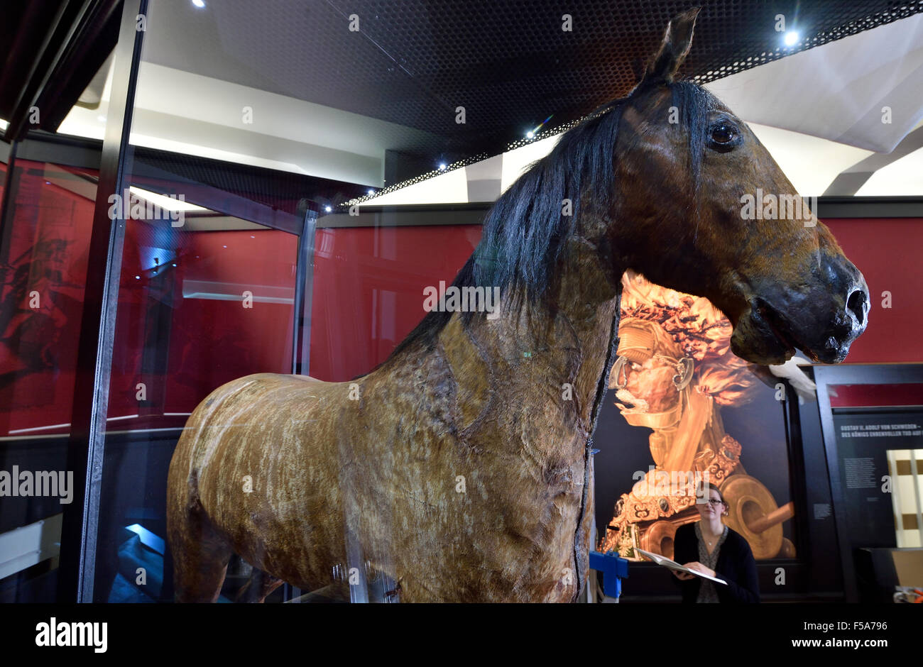 Norma Literski-Henkel examines Duke Albrecht von Wallenstein's ...