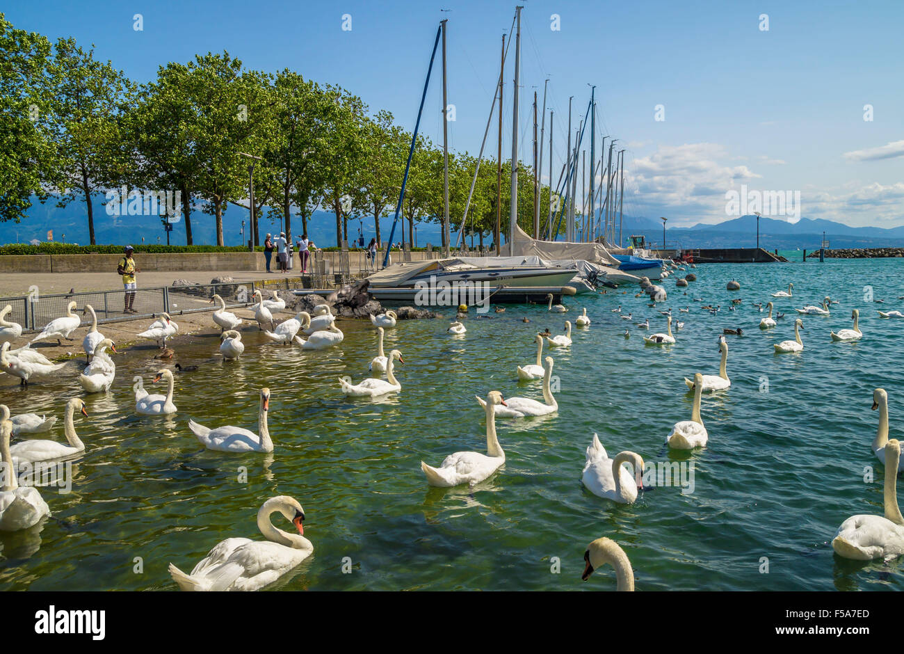 Genava lake hi-res stock photography and images - Alamy