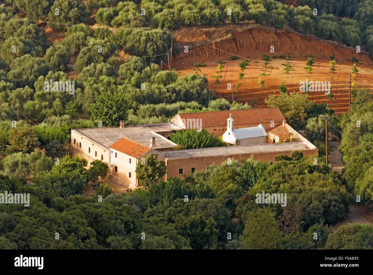 Many fruit trees on the plantation Stock Photo - Alamy