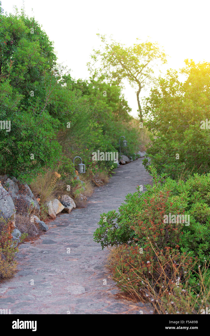 Stone path in the park at sunset Stock Photo - Alamy
