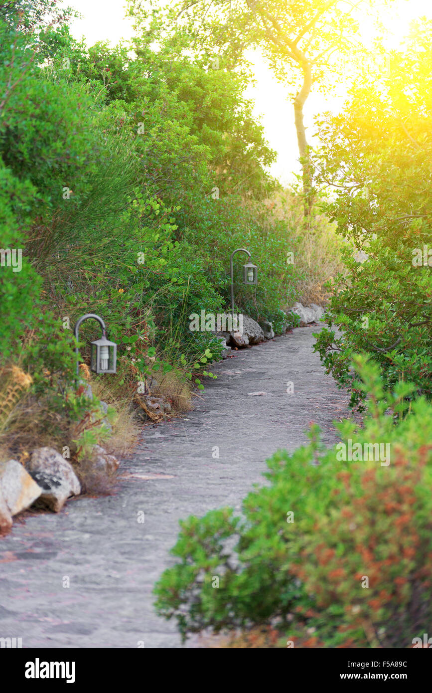 Stone path in the park at sunset Stock Photo - Alamy