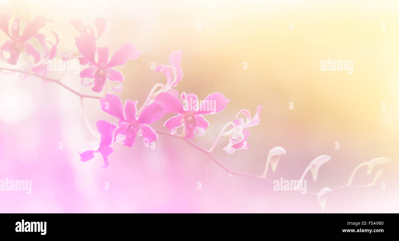 abstract flower background. made with color filters in soft color and ...