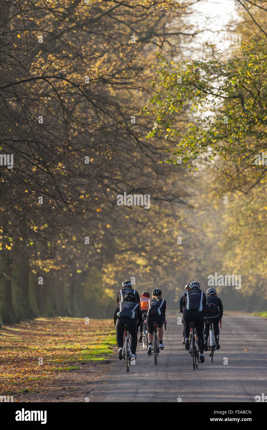 North Nottinghamshire, UK. 31st October, 2015. Mild temperatures across ...