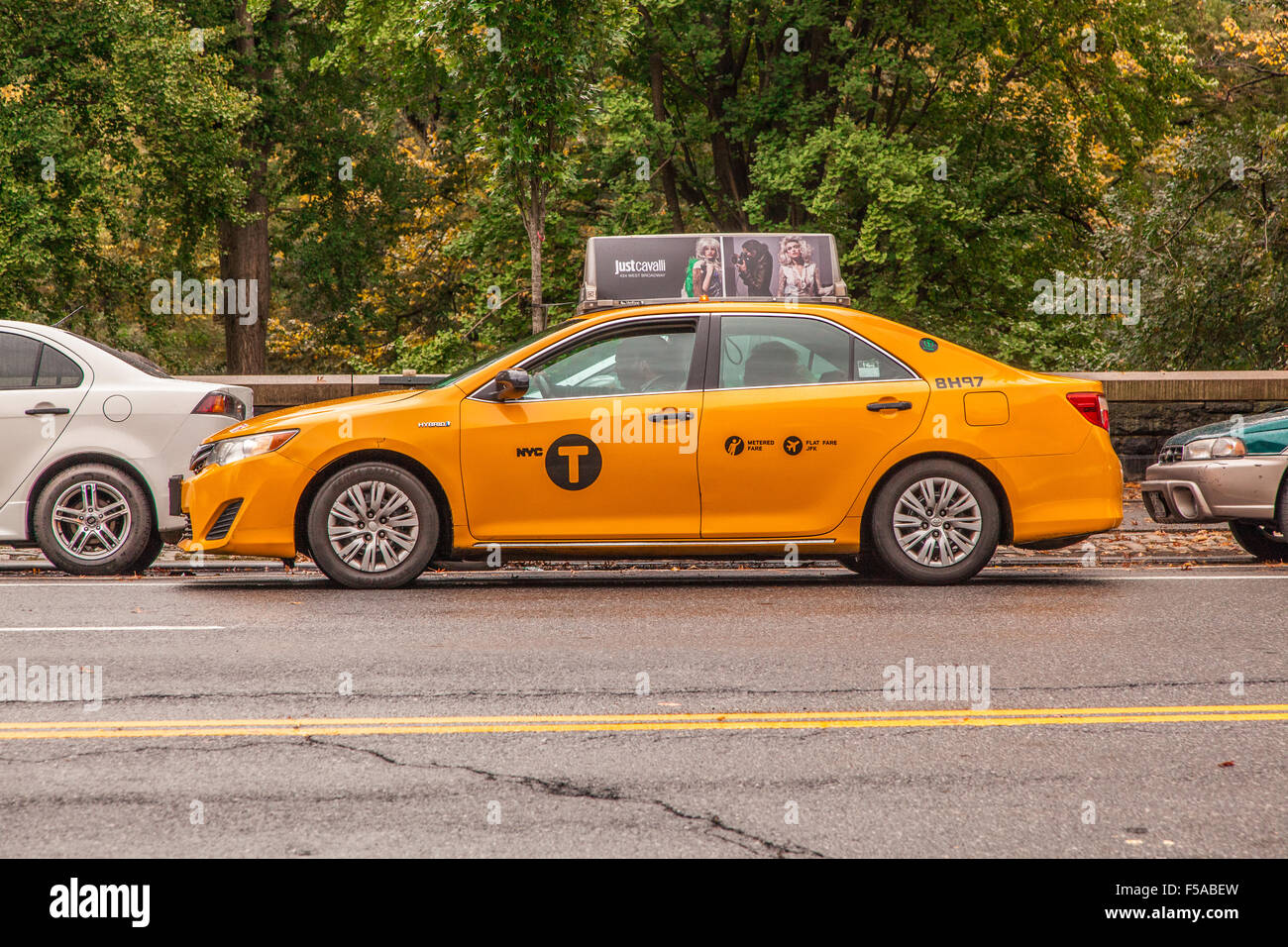 Yellow taxi cab , Manhattan, New York City, United States of America ...