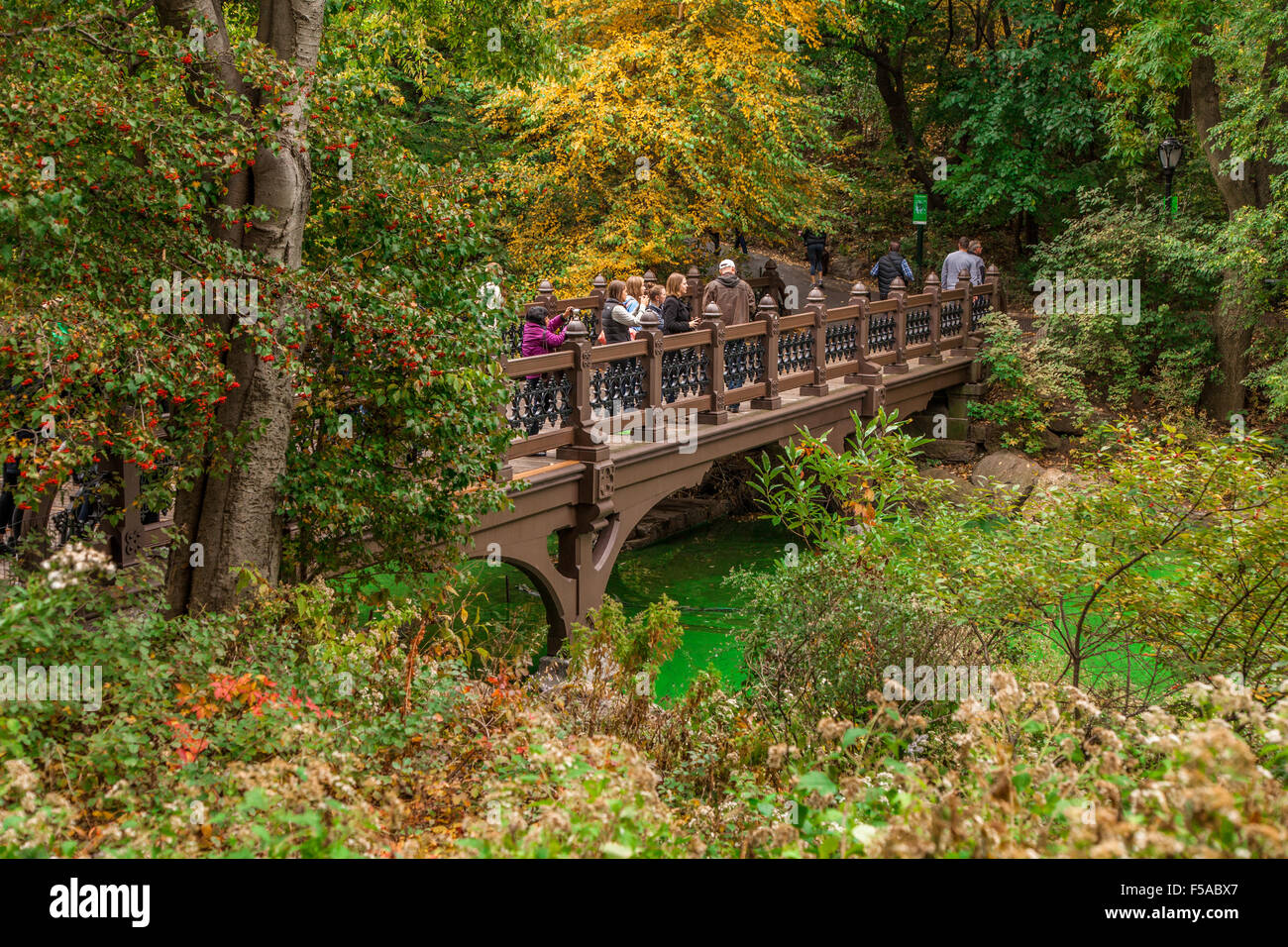 Oak Bridge Central Park High Resolution Stock Photography and Images ...
