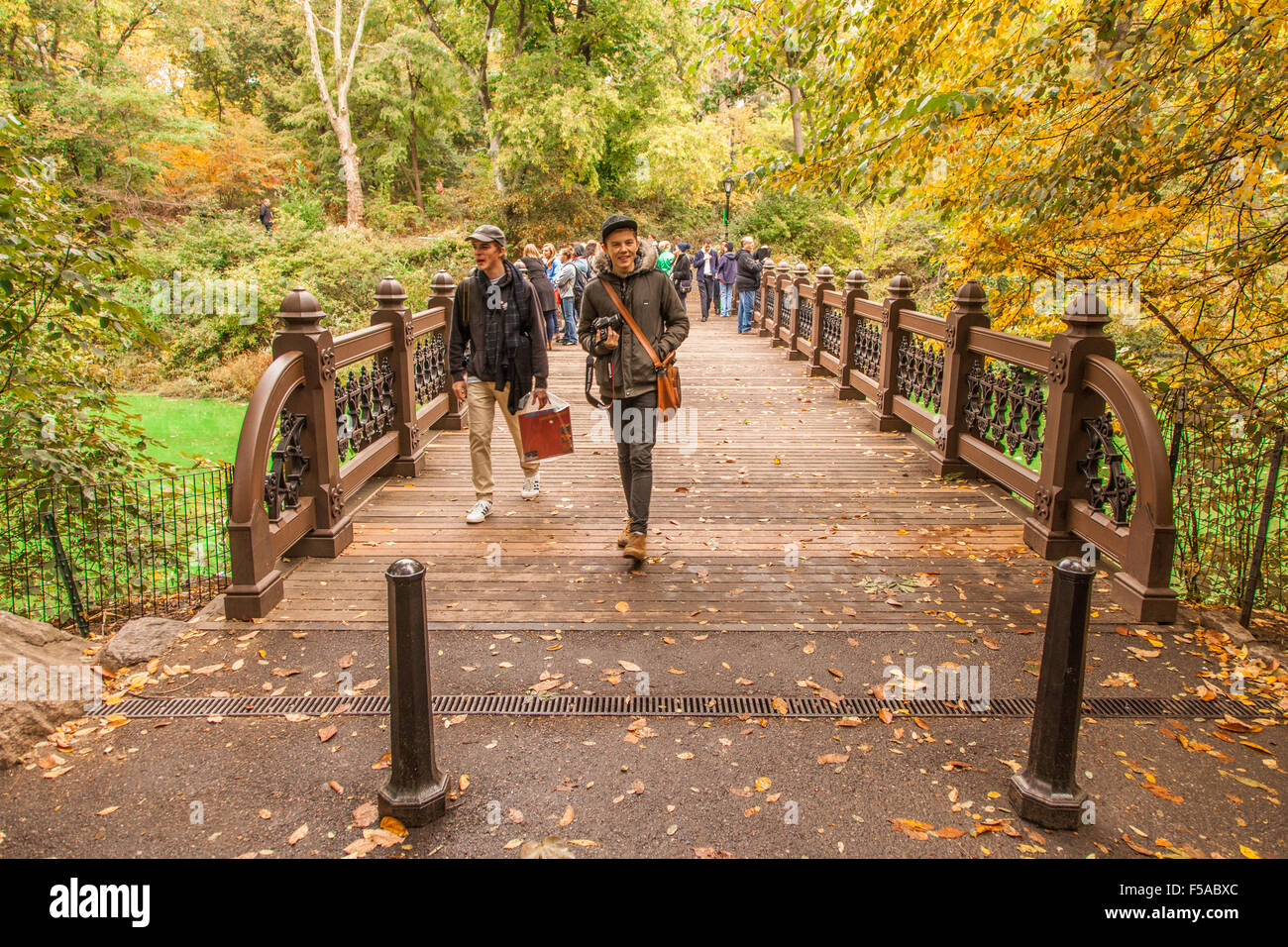 Oak Bridge, Bank Rock Bay in Central Park, New York City, United States ...