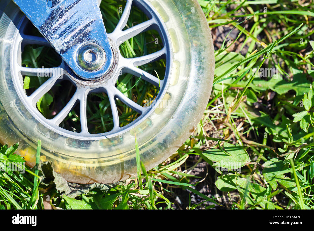 Closeup photo of kick scooter wheel on summer grass Stock Photo - Alamy