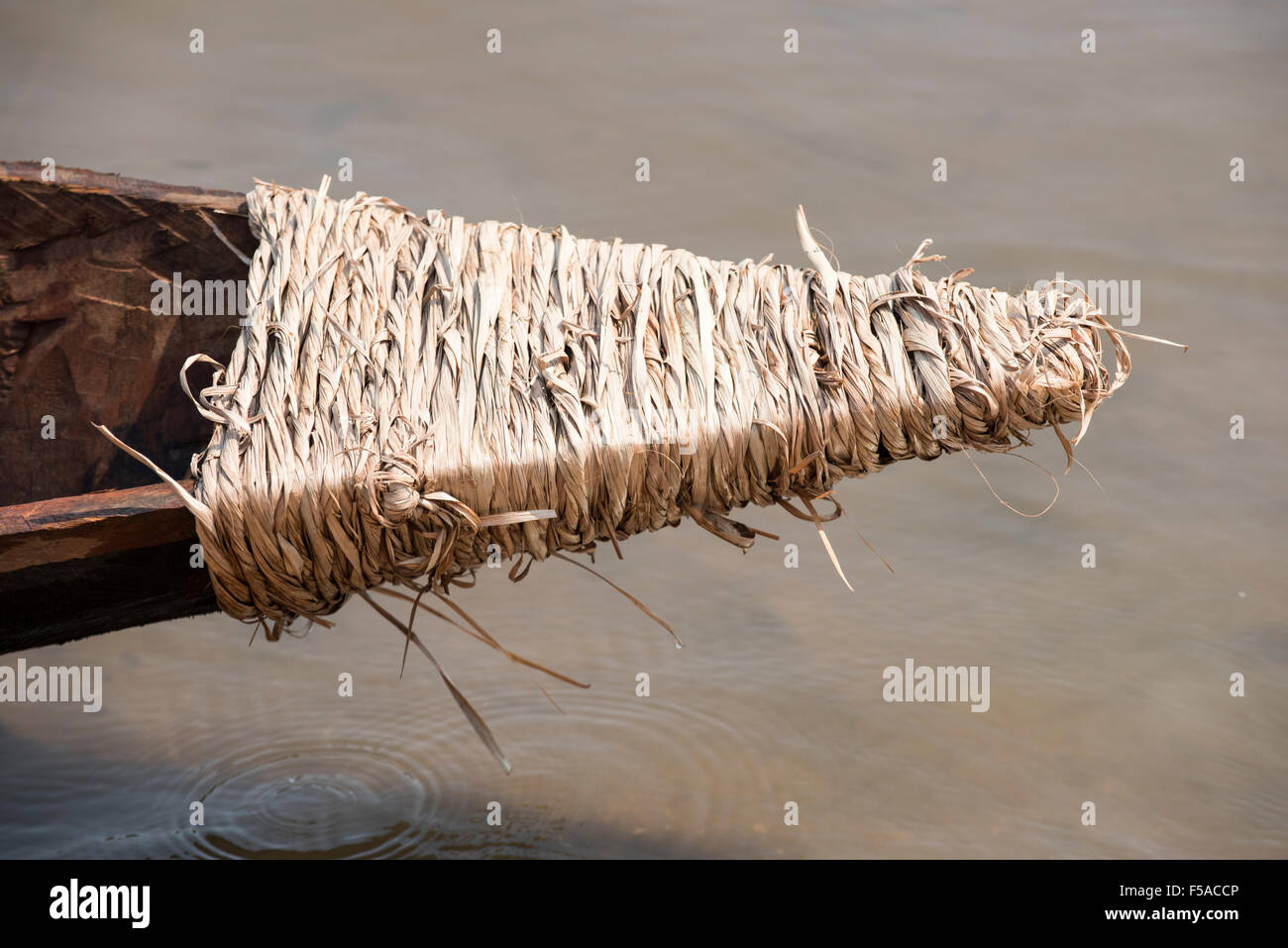 Bound palm hi-res stock photography and images - Alamy