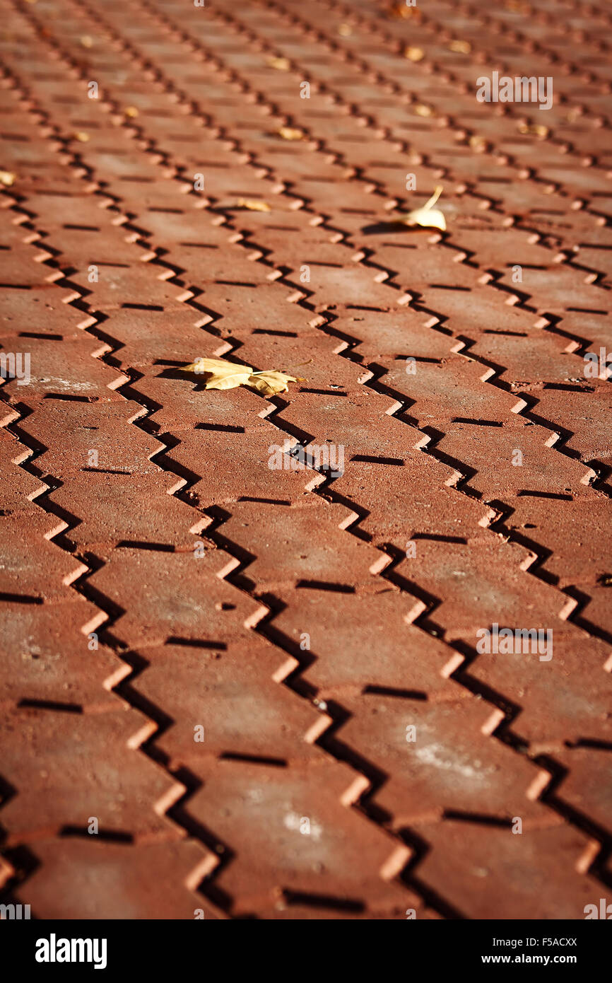 Red pavement with leaf Stock Photo - Alamy