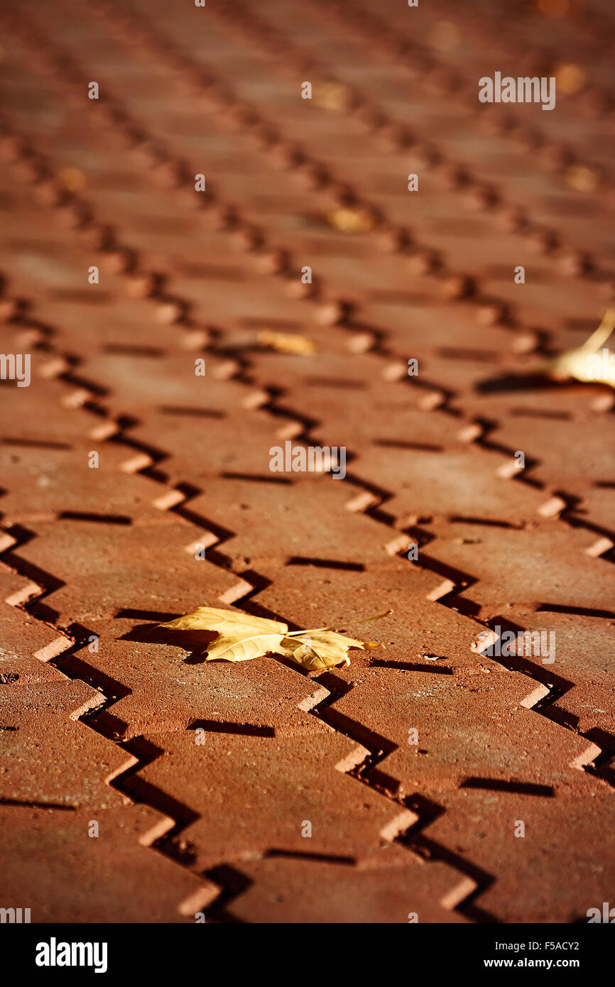 Red pavement with leaf Stock Photo - Alamy