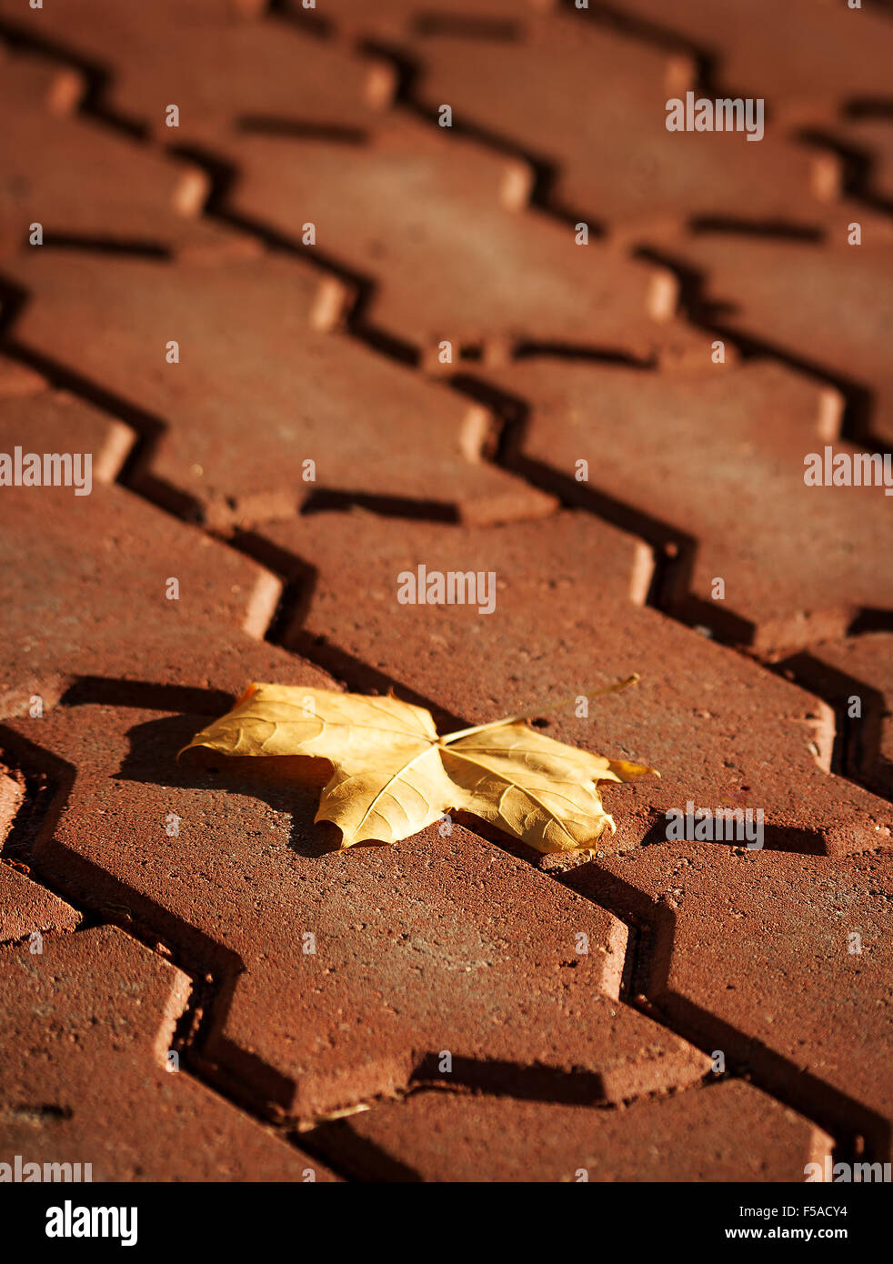 Red pavement with leaf Stock Photo - Alamy