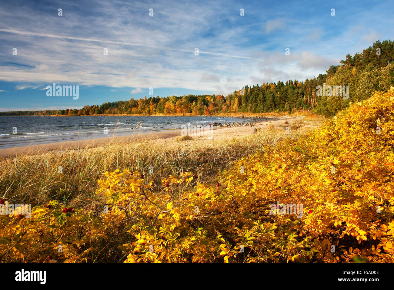 Coastal landscape in autumn Stock Photo - Alamy