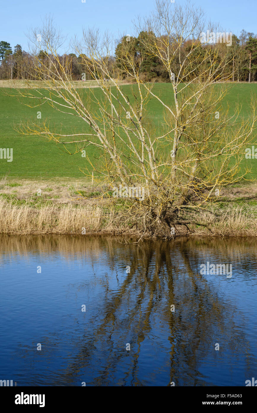 Teviotdale hi-res stock photography and images - Alamy