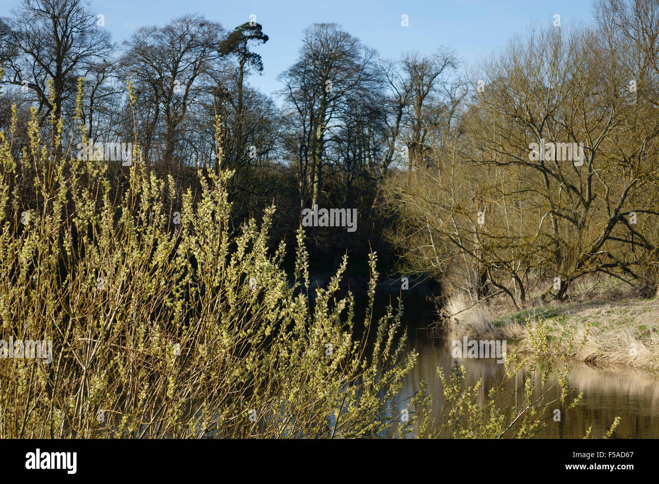 Teviotdale hi-res stock photography and images - Alamy