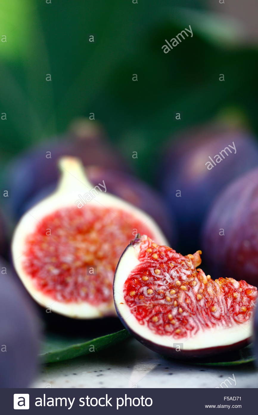 Leaves And Fruit High Resolution Stock Photography and Images - Alamy