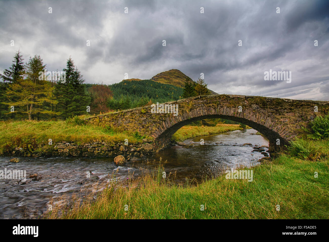 Butterbridge Glen Kinglas Scotland HDR Stock Photo - Alamy