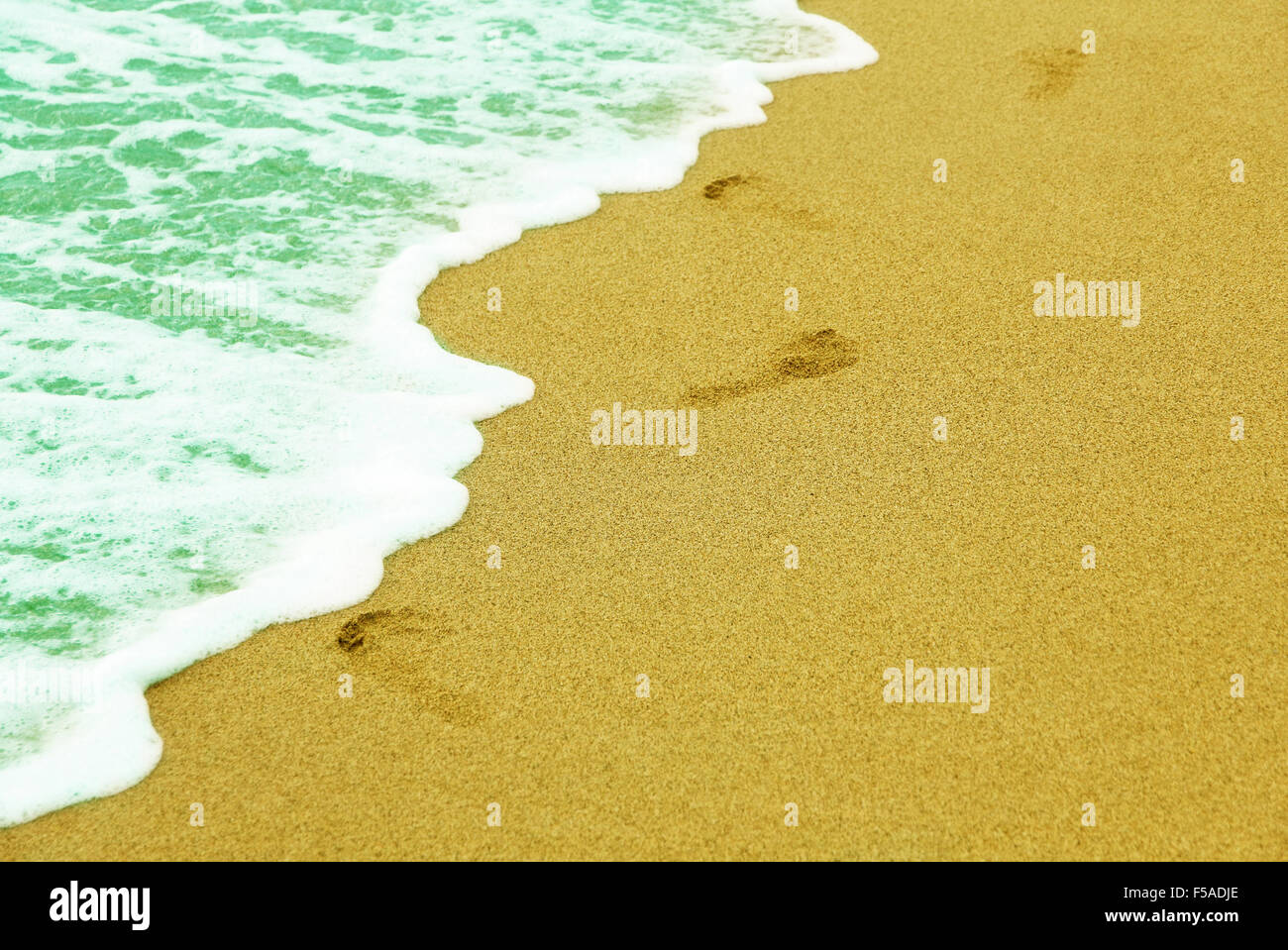 Trace wave hi-res stock photography and images - Alamy