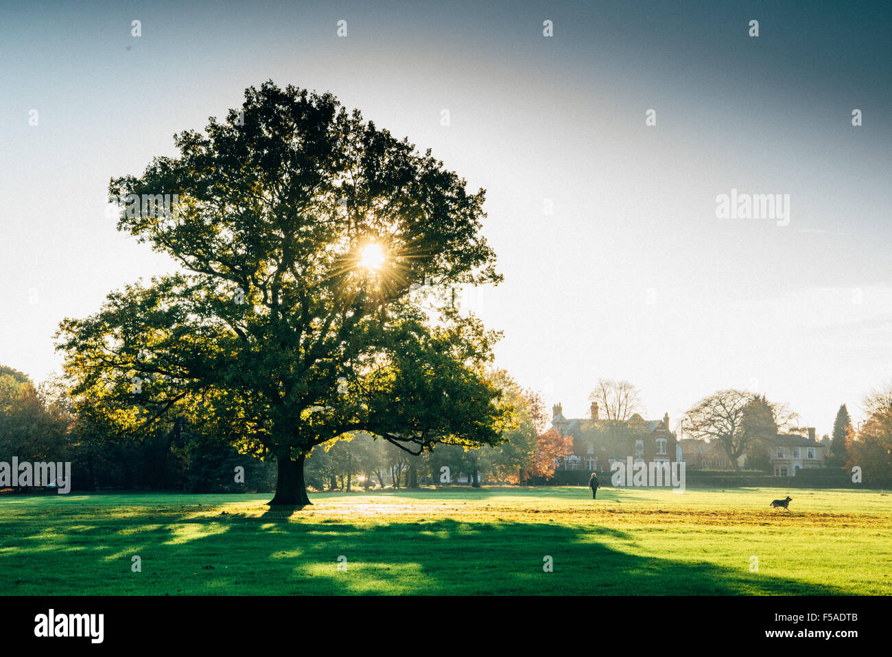 Tettenhall hi-res stock photography and images - Alamy