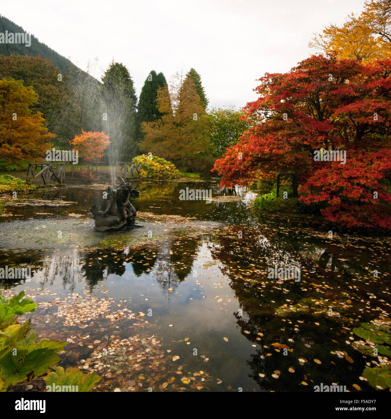 Benmore Botanic Garden Stock Photo - Alamy