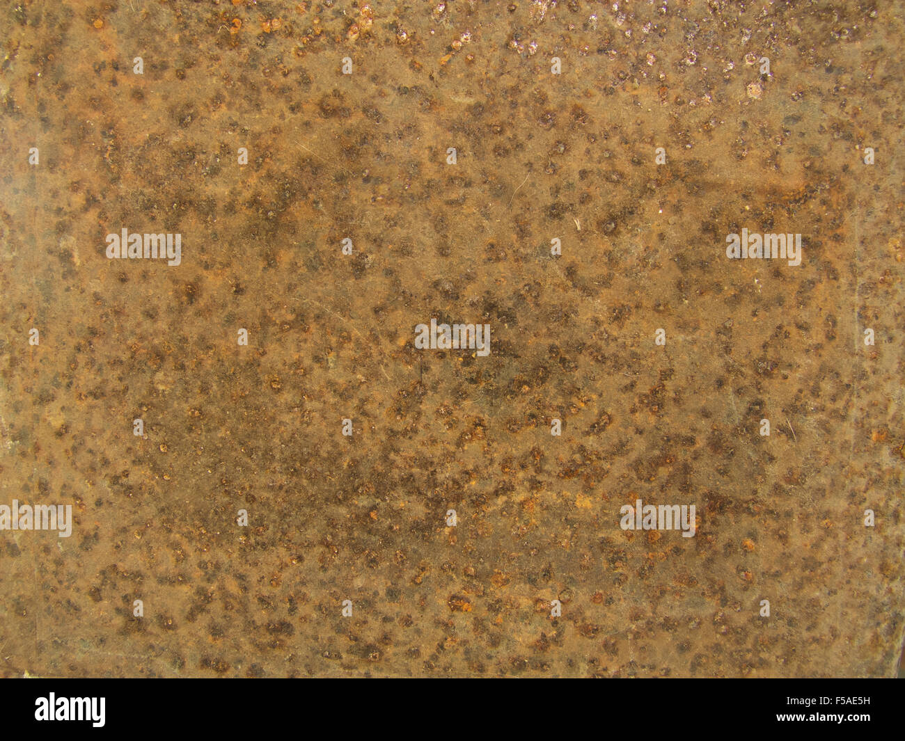 Gold plate texture hi-res stock photography and images - Alamy
