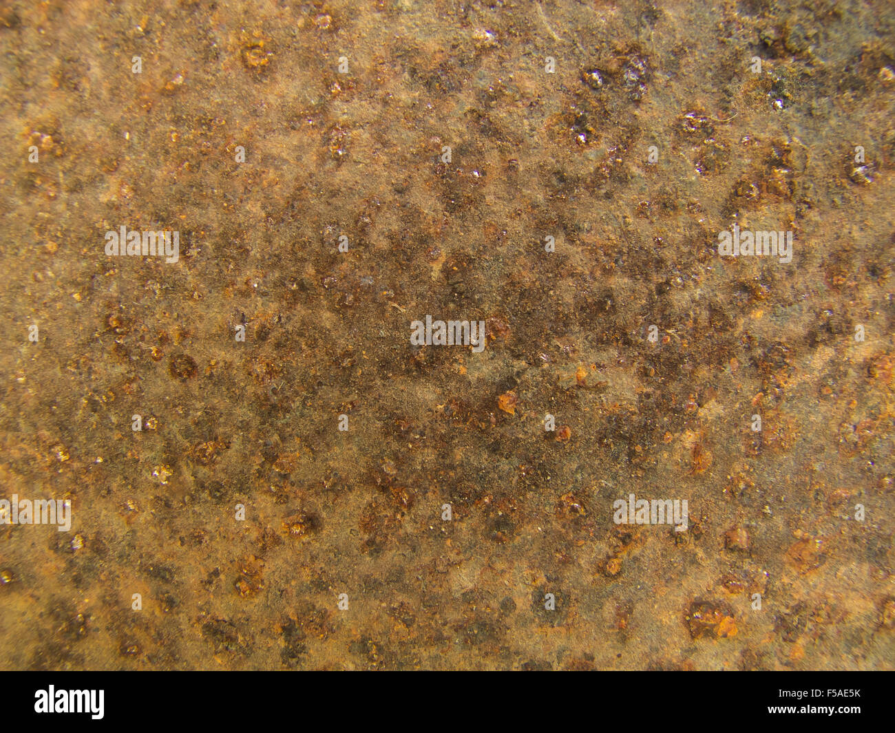 Closeup Rust texture, metal plate background Stock Photo - Alamy