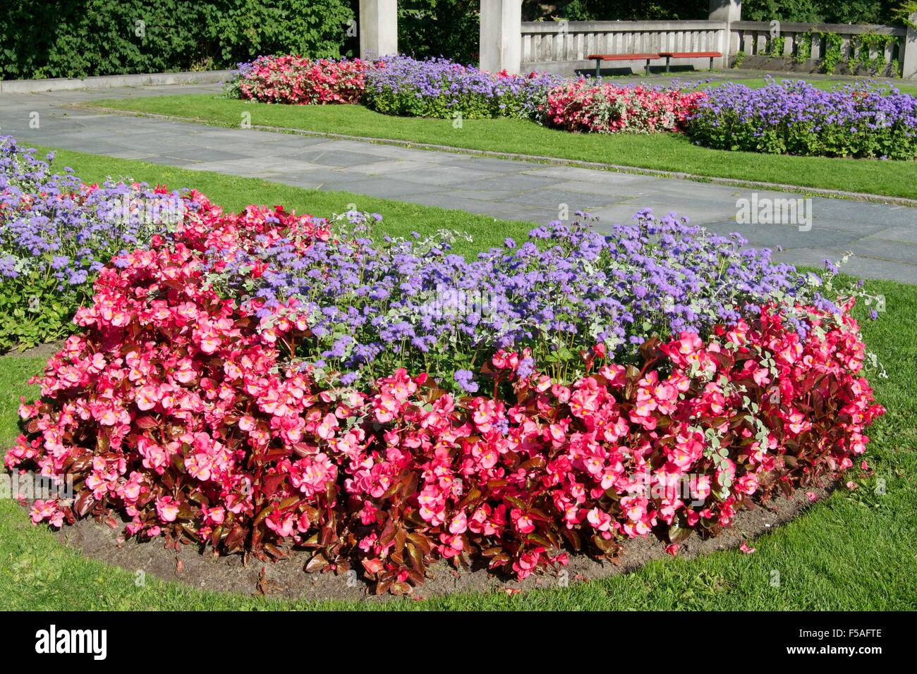 flowers in park Stock Photo - Alamy