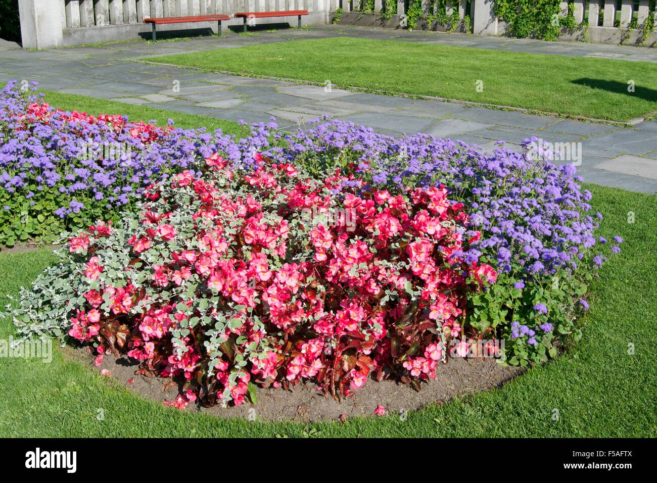 flowers in park Stock Photo - Alamy