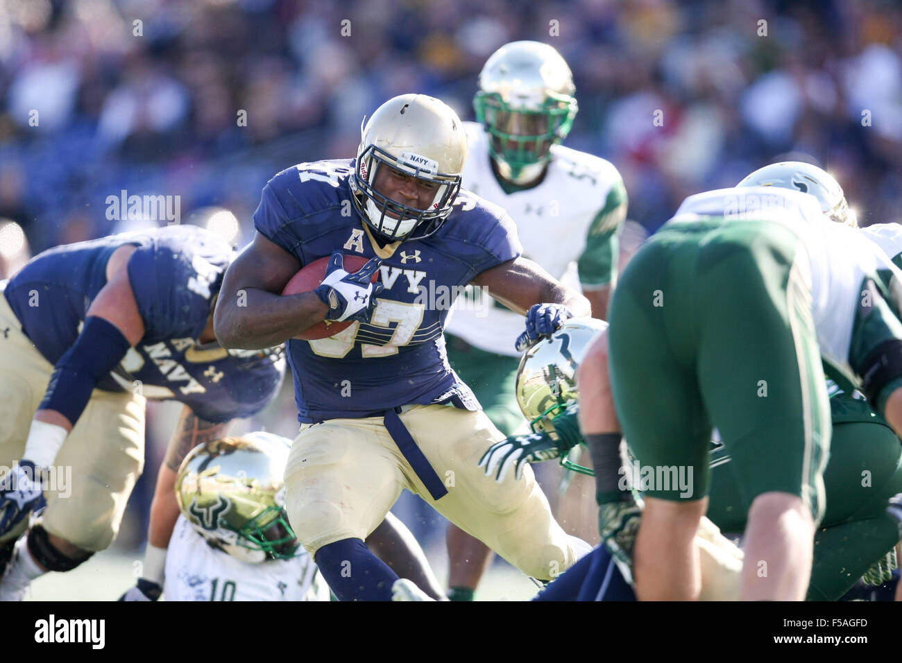 Usf bulls football 2015 hi-res stock photography and images - Alamy