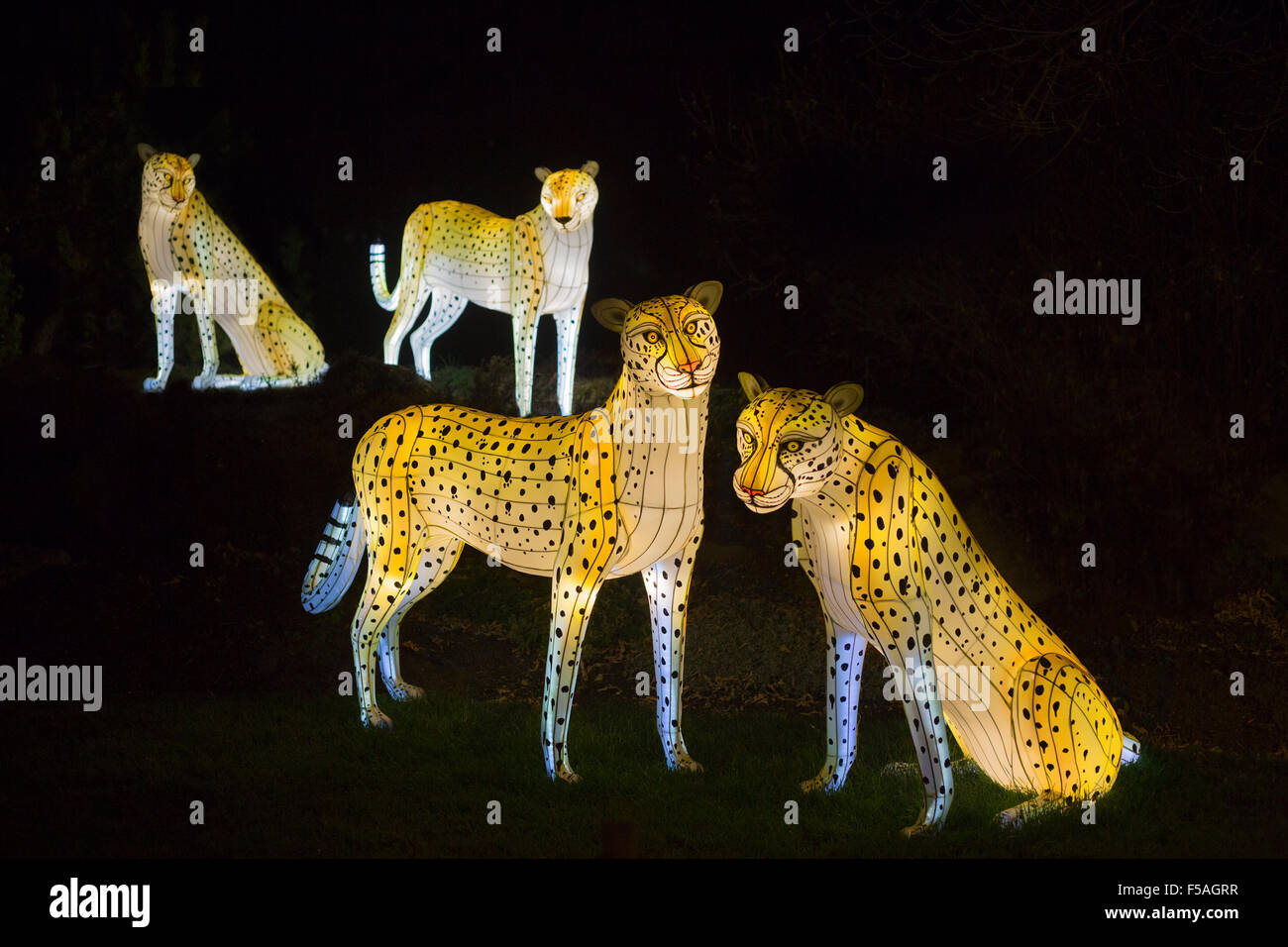 Cheetah lanterns at the Illuminasia Lantern Festival, handmade by ...