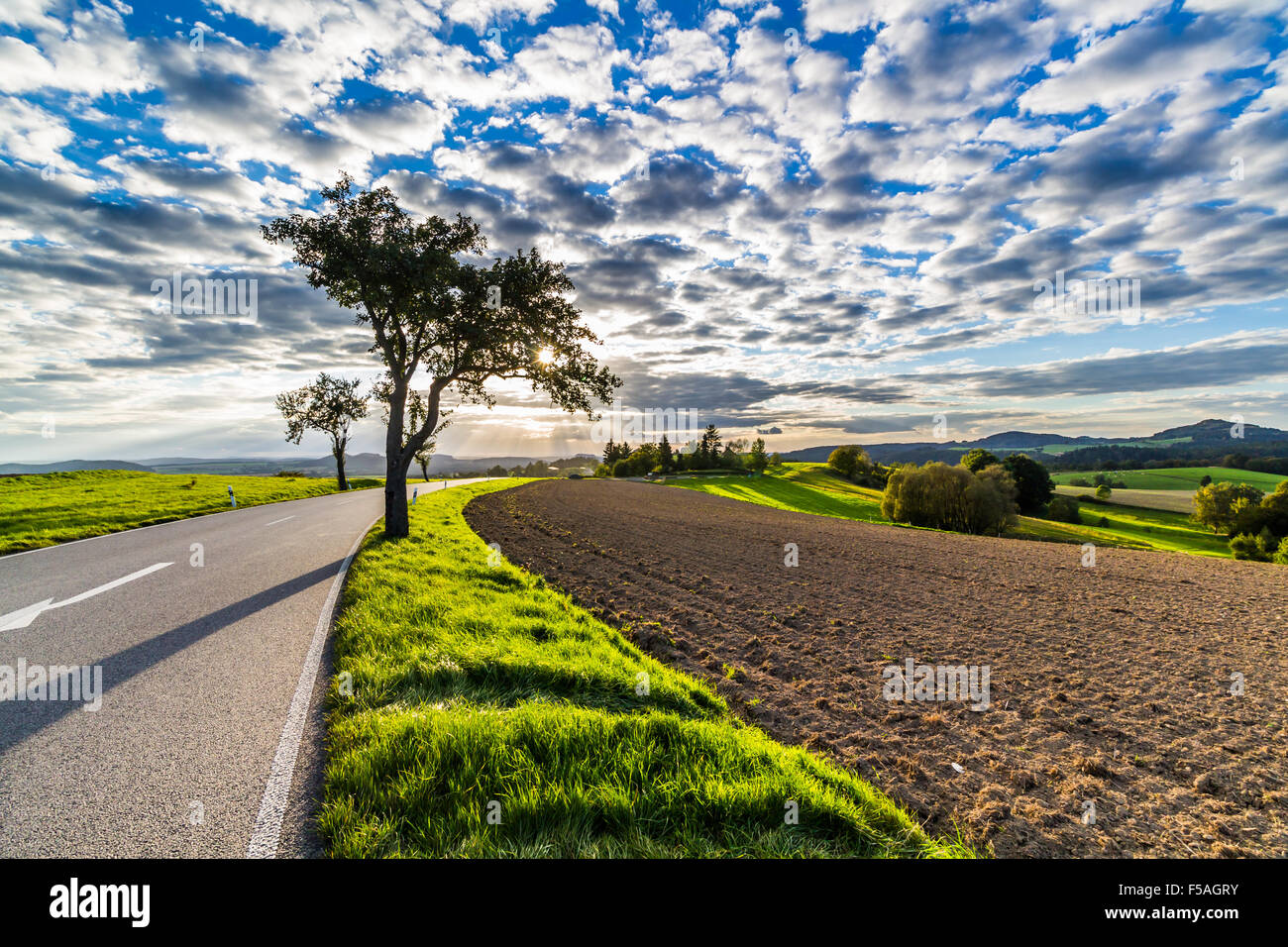Panoramic landscape of colorful yellow-green hills with ground road ...