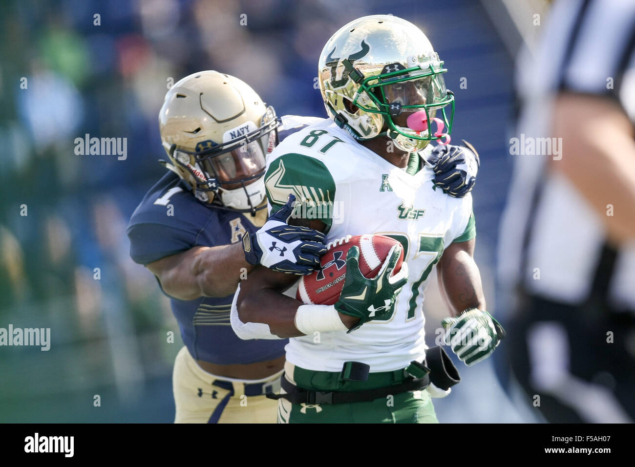Usf bulls football 2015 hi-res stock photography and images - Alamy