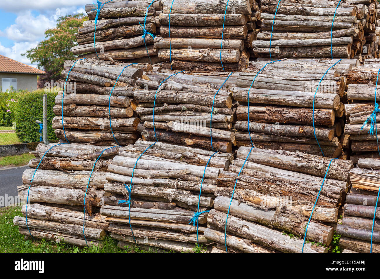 Big pile of wood logs on a rural background Stock Photo - Alamy