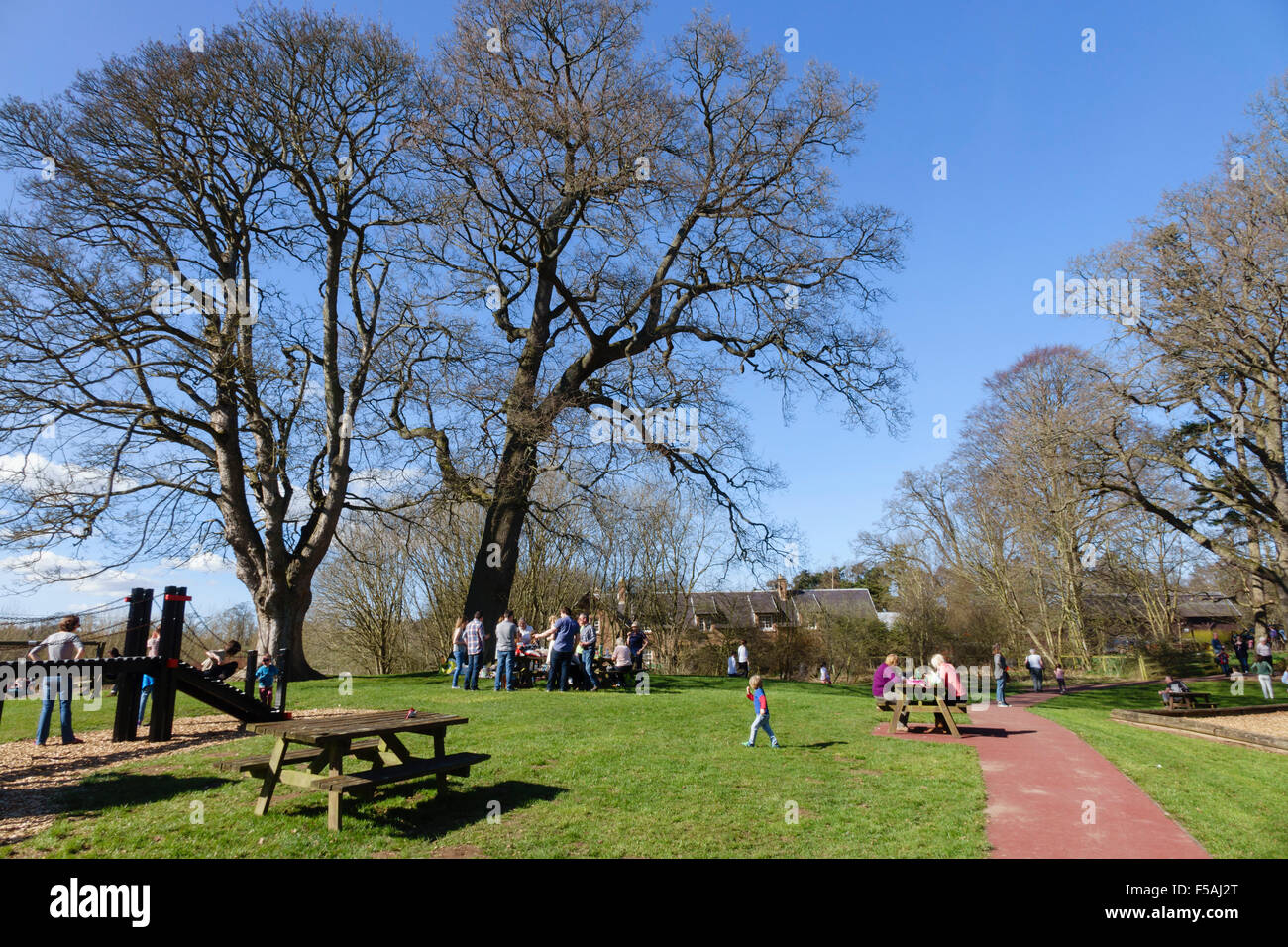 Harestanes visitor hi-res stock photography and images - Alamy