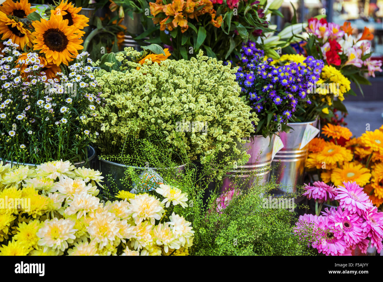 Flower stand in the center of Prague, Czech republic Stock Photo - Alamy