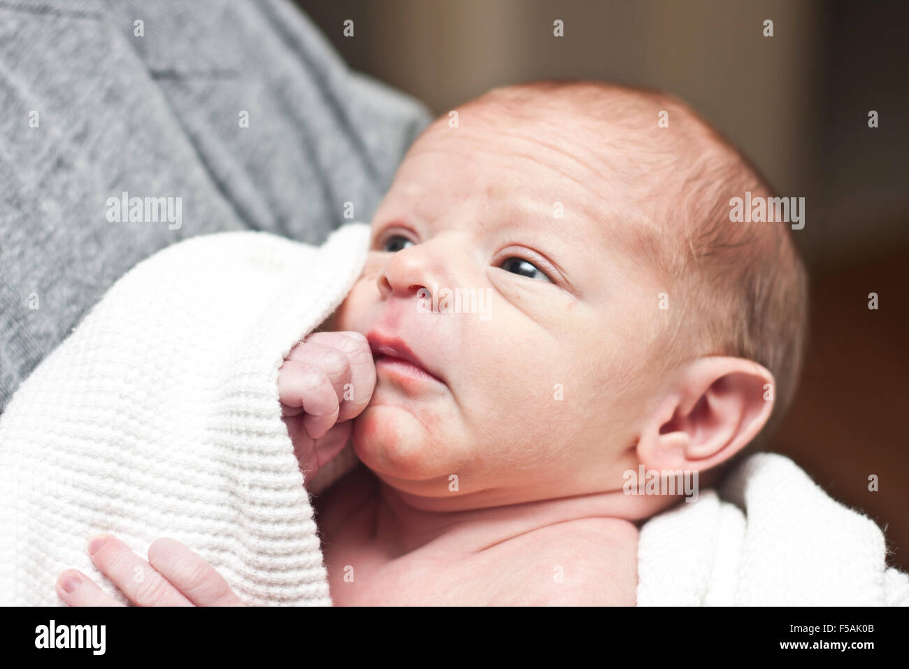 Newborn baby being helf Stock Photo - Alamy