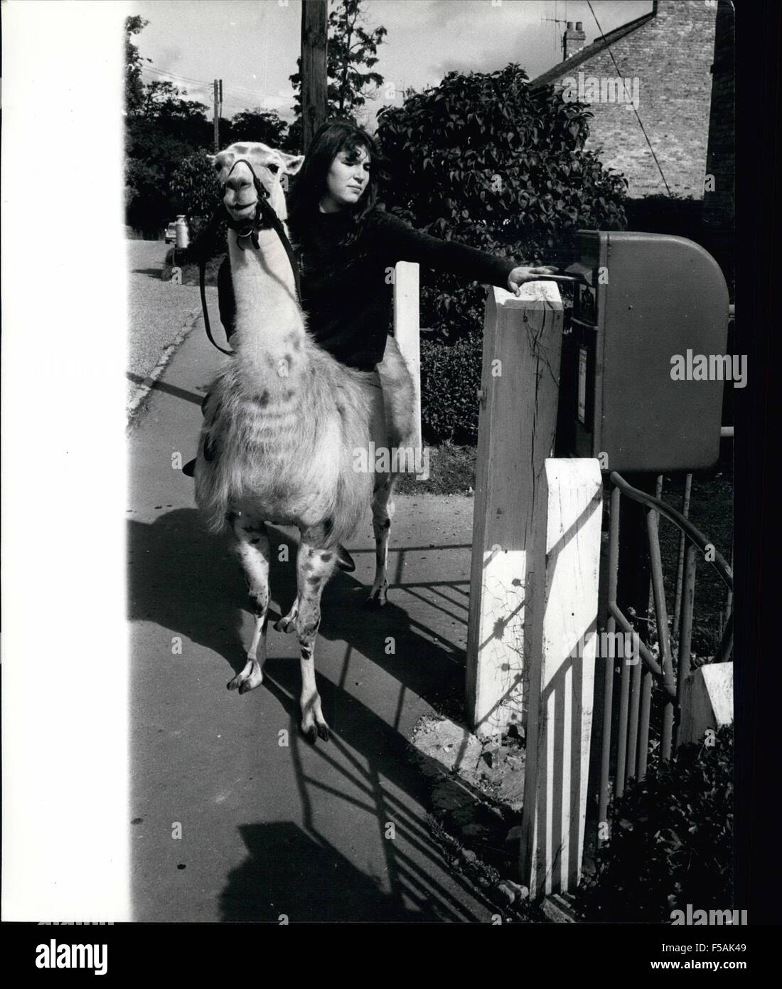 15 year old julie cook generally causes quite stir she mounted hi-res ...