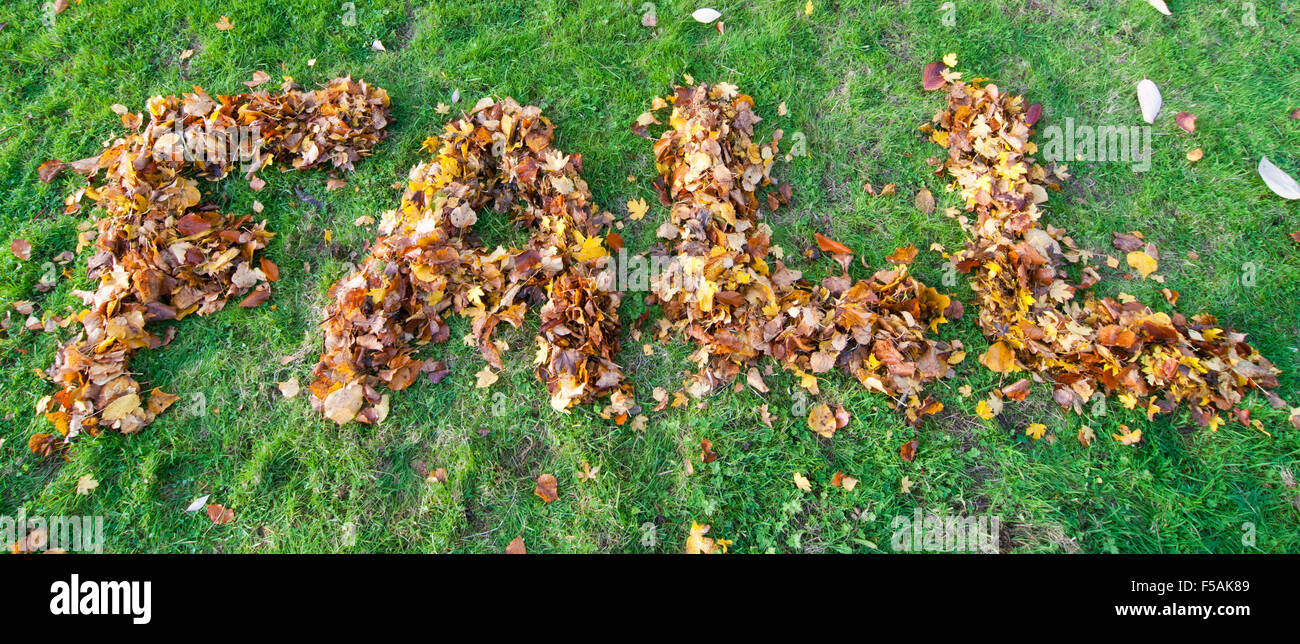 Fall leaves letters word hi-res stock photography and images - Alamy