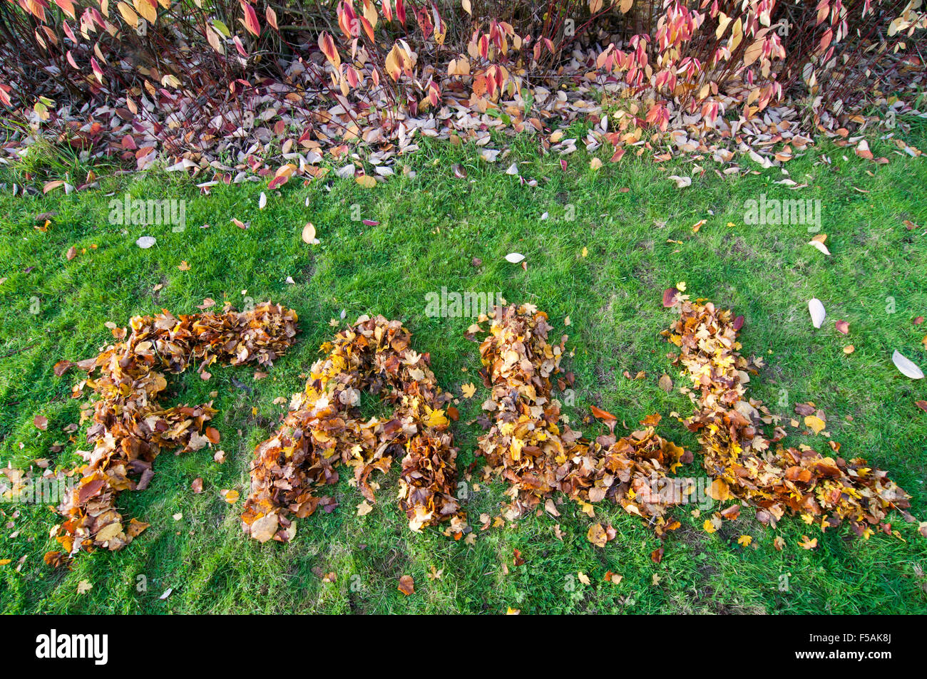 the word Fall spelt out in autumn leaves Stock Photo - Alamy