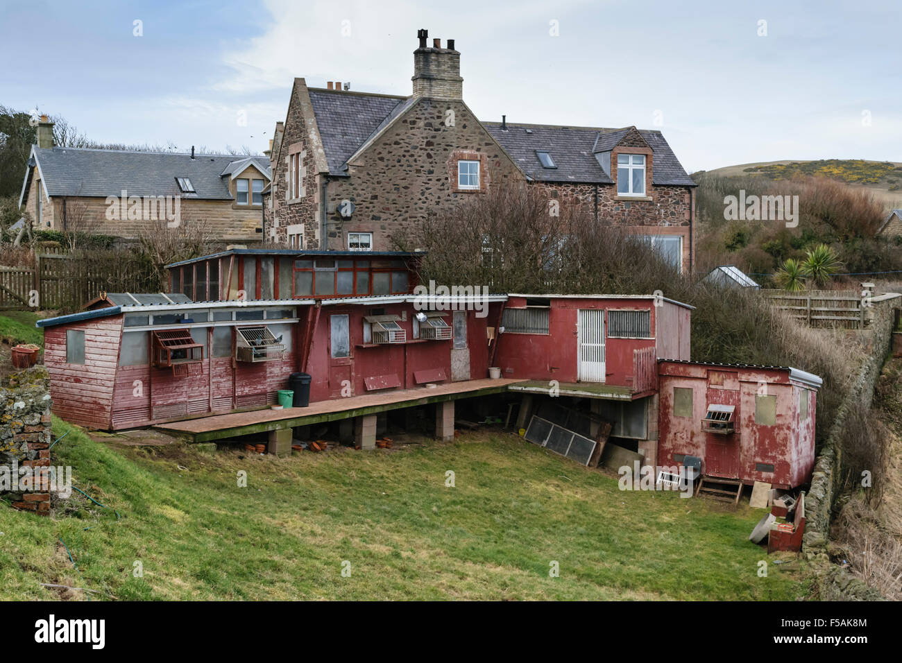 Pigeon lofts at St Abbs, Berwickshire, Scottish Borders, UK Stock Photo ...