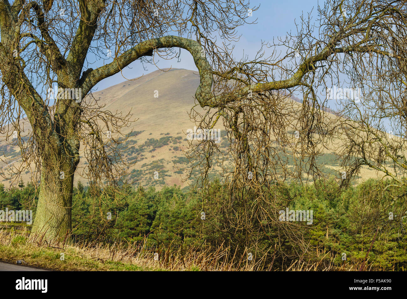 Bowmont valley hi-res stock photography and images - Alamy