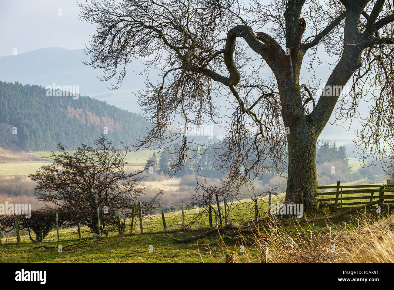 Bowmont northumberland hi-res stock photography and images - Alamy