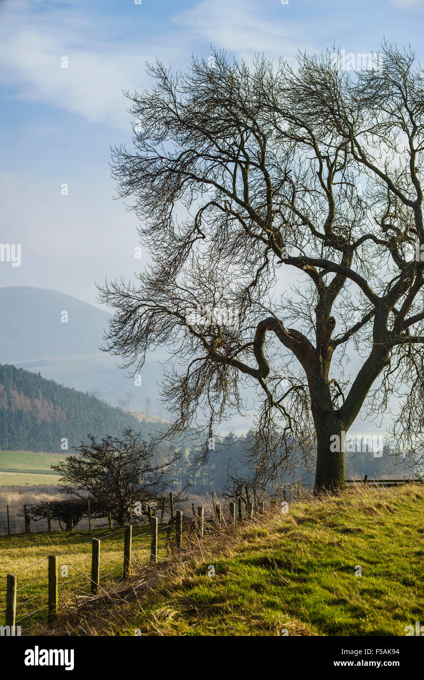 Bowmont valley hi-res stock photography and images - Alamy