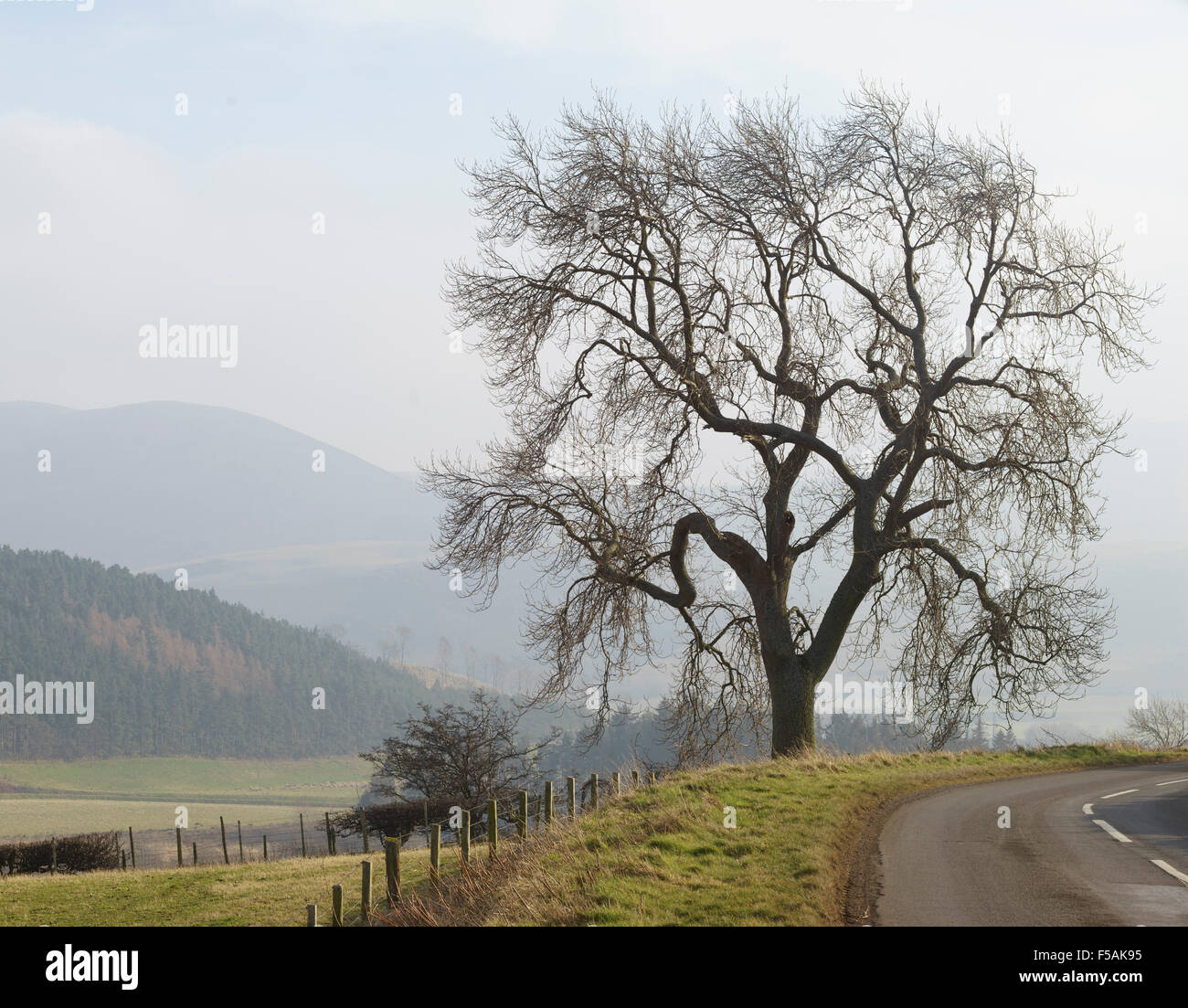 Bowmont valley hi-res stock photography and images - Alamy