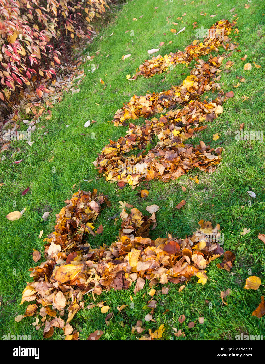 Letters leaves hi-res stock photography and images - Alamy